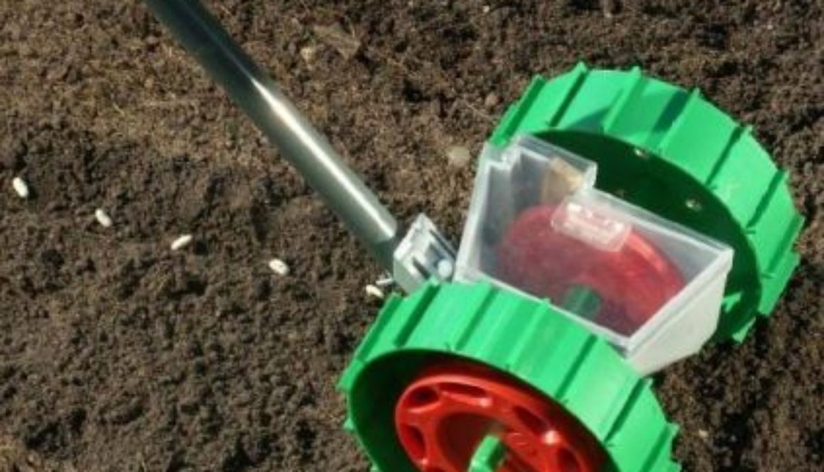 What Is A Seeder And Why You Should Use One? - Roy's Plants And Flowers