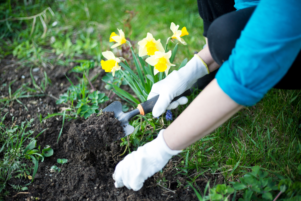 the benefits of regular weeding and mulching